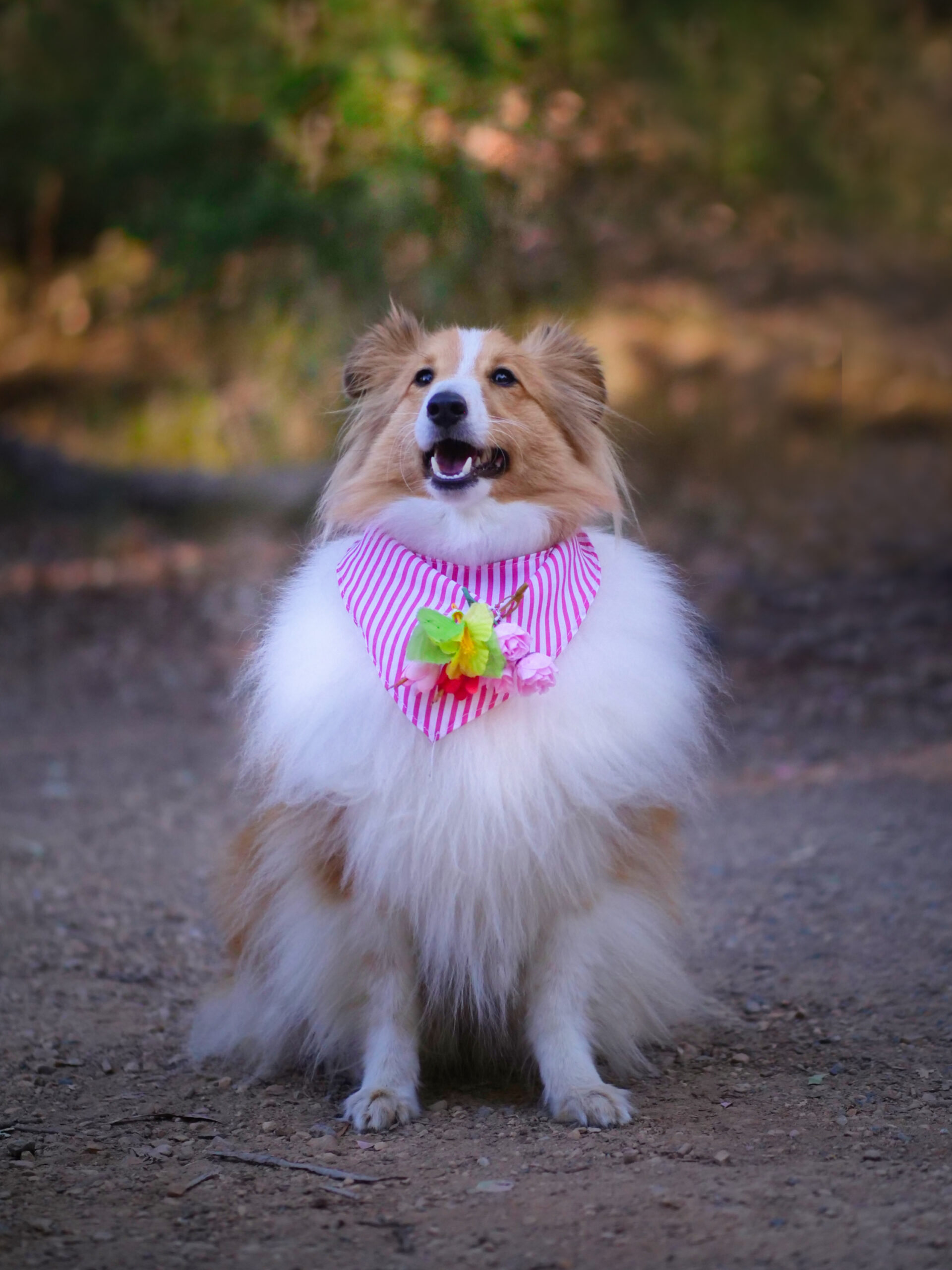 SPECIALISED IN FLASH PHOTOGRAPHY, HIGH SPEED CAPTURE - PYRAMID PHOTOGRAPHY